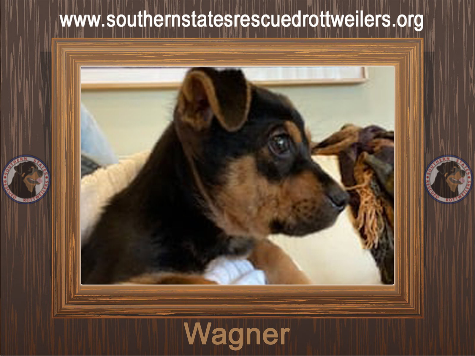 Wagner's Web Page