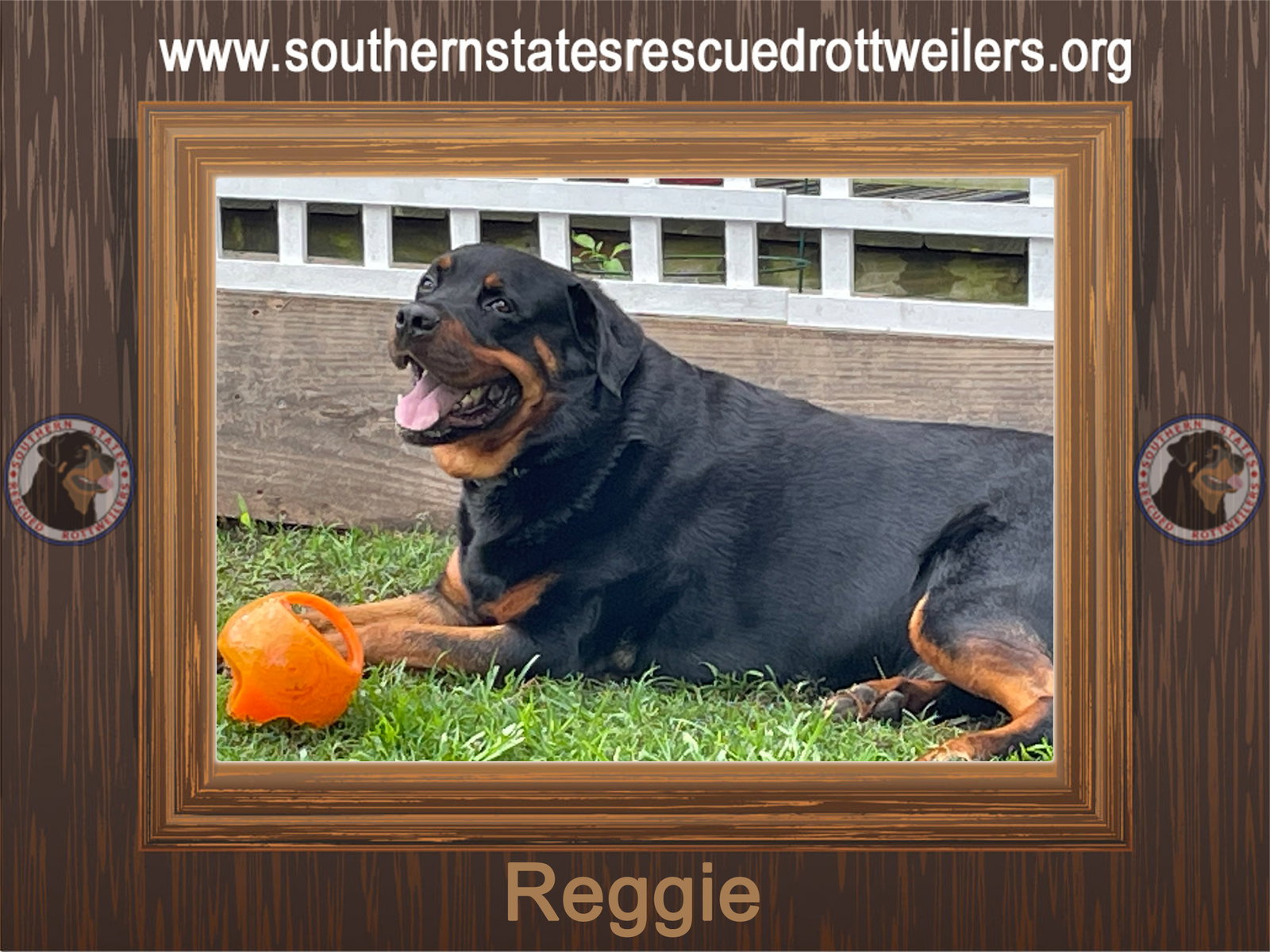 Reggie's Web Page