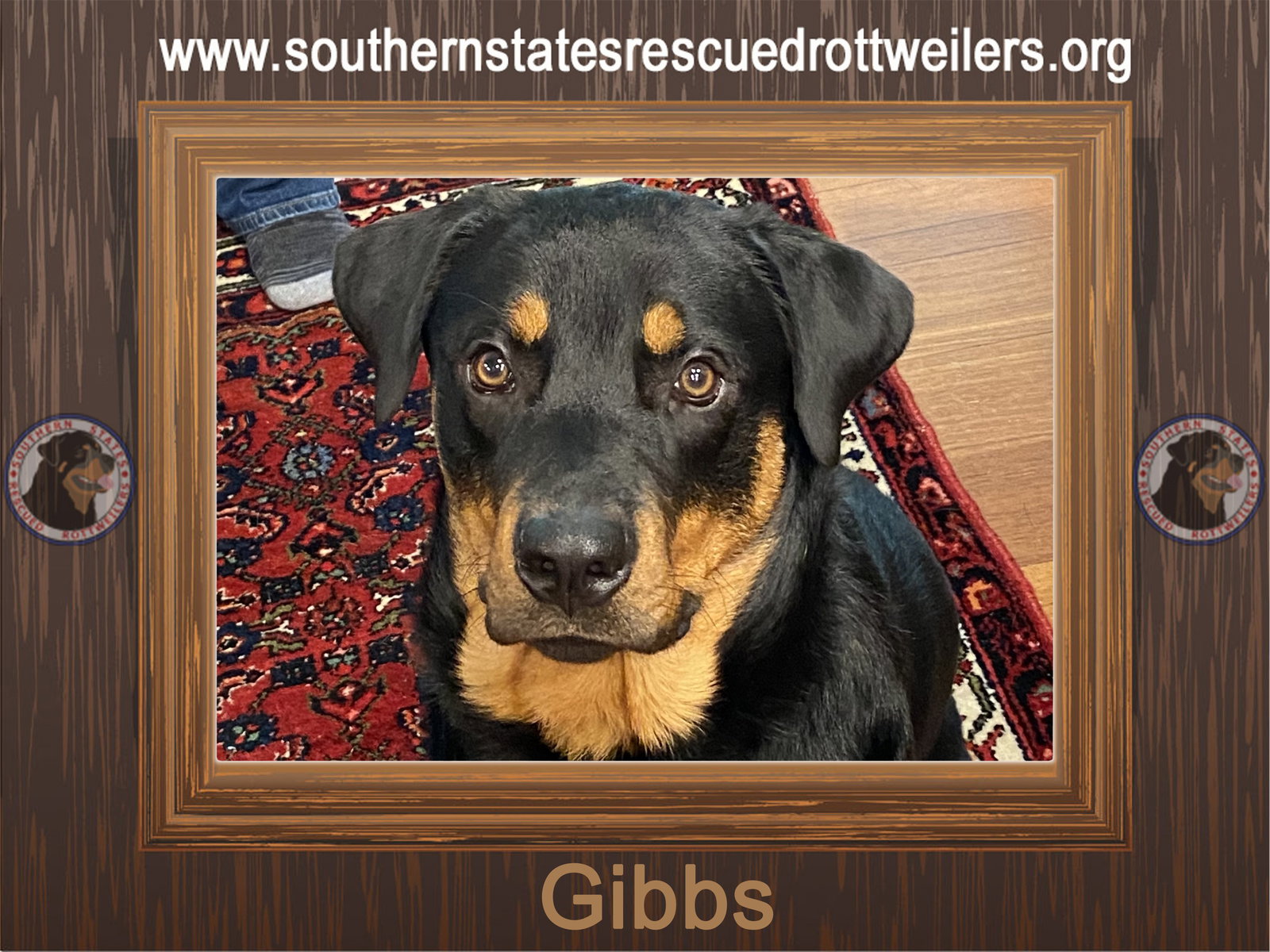Gibbs' Web Page