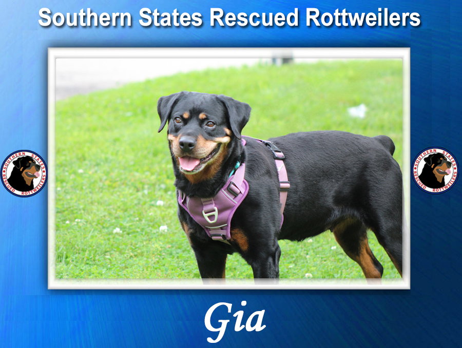 Gia's Web Page