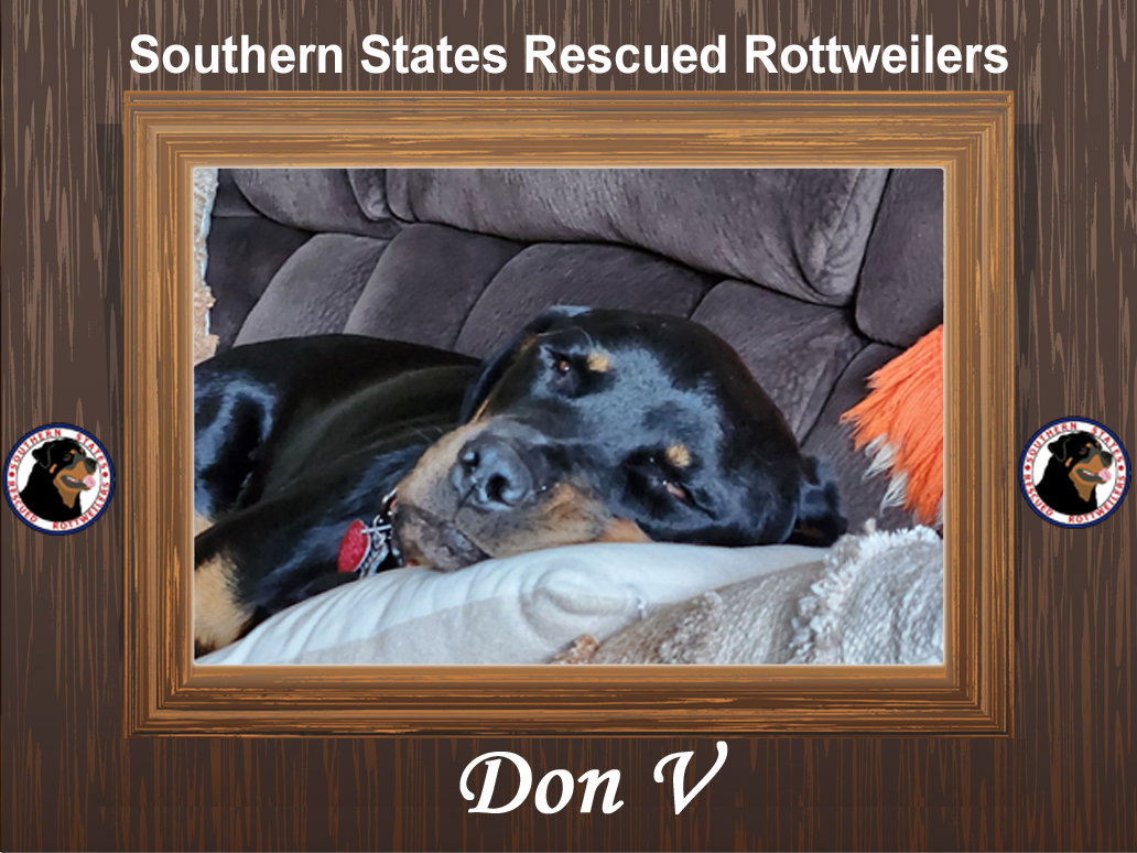 Don V's Web Page