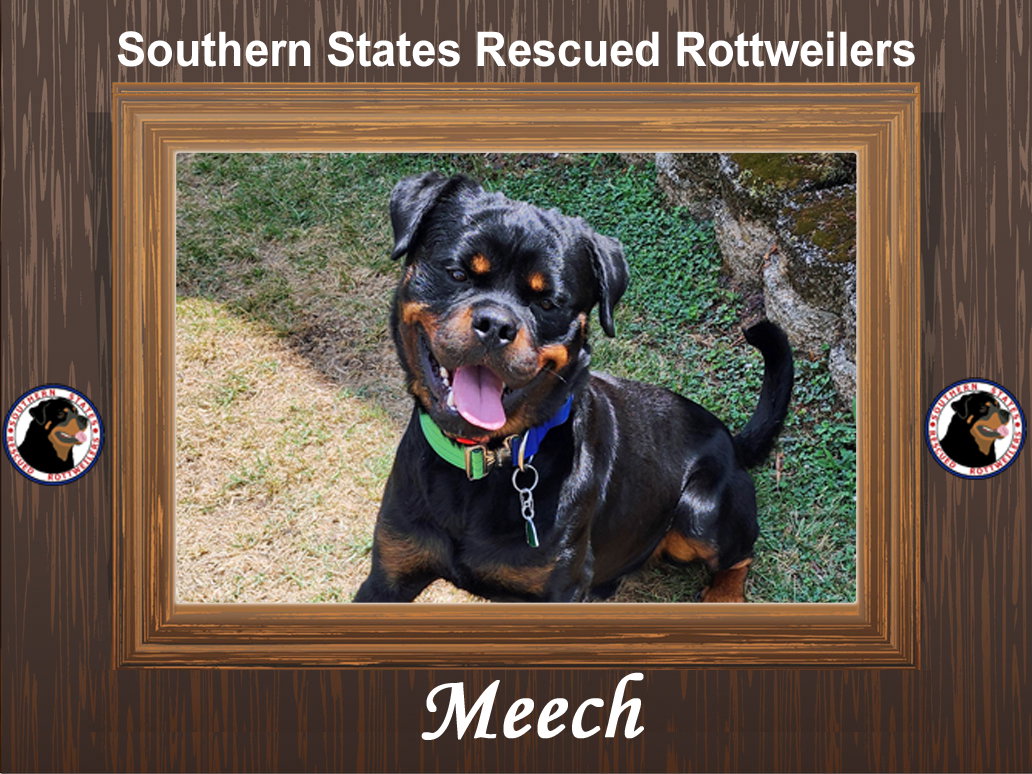 Meech's Web Page