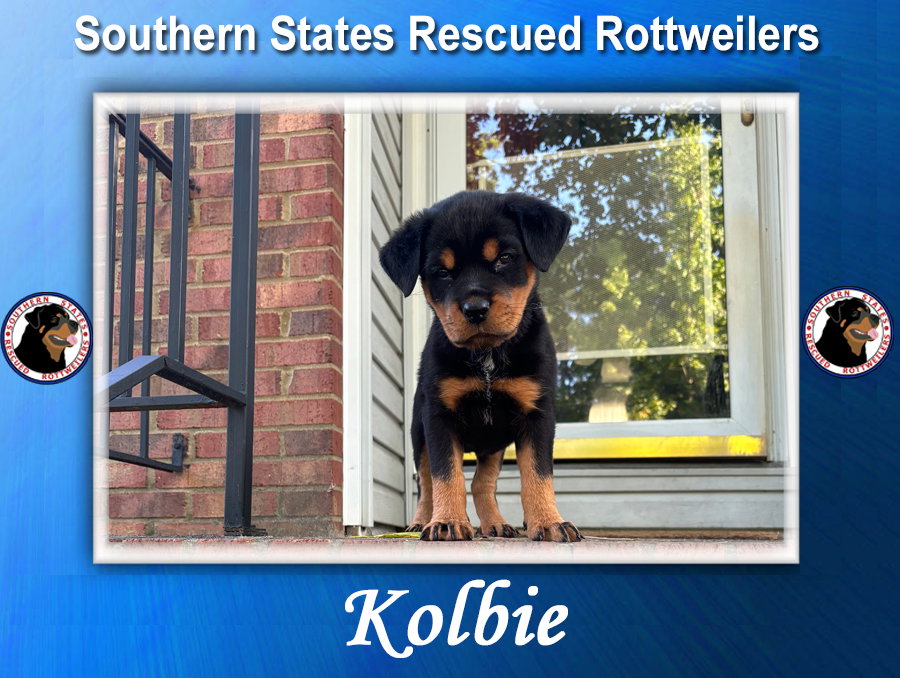 Kolbie's Web Page