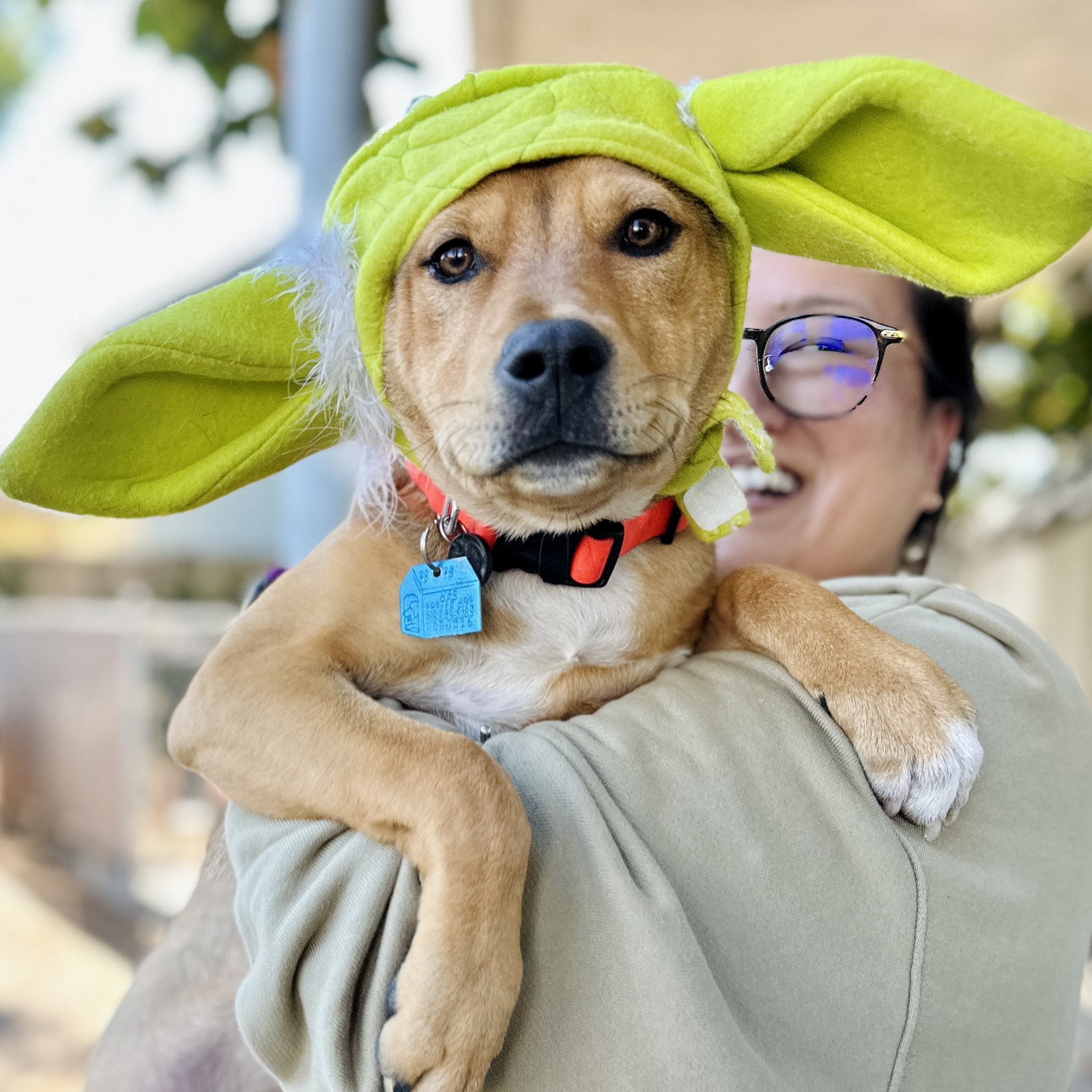 Roo