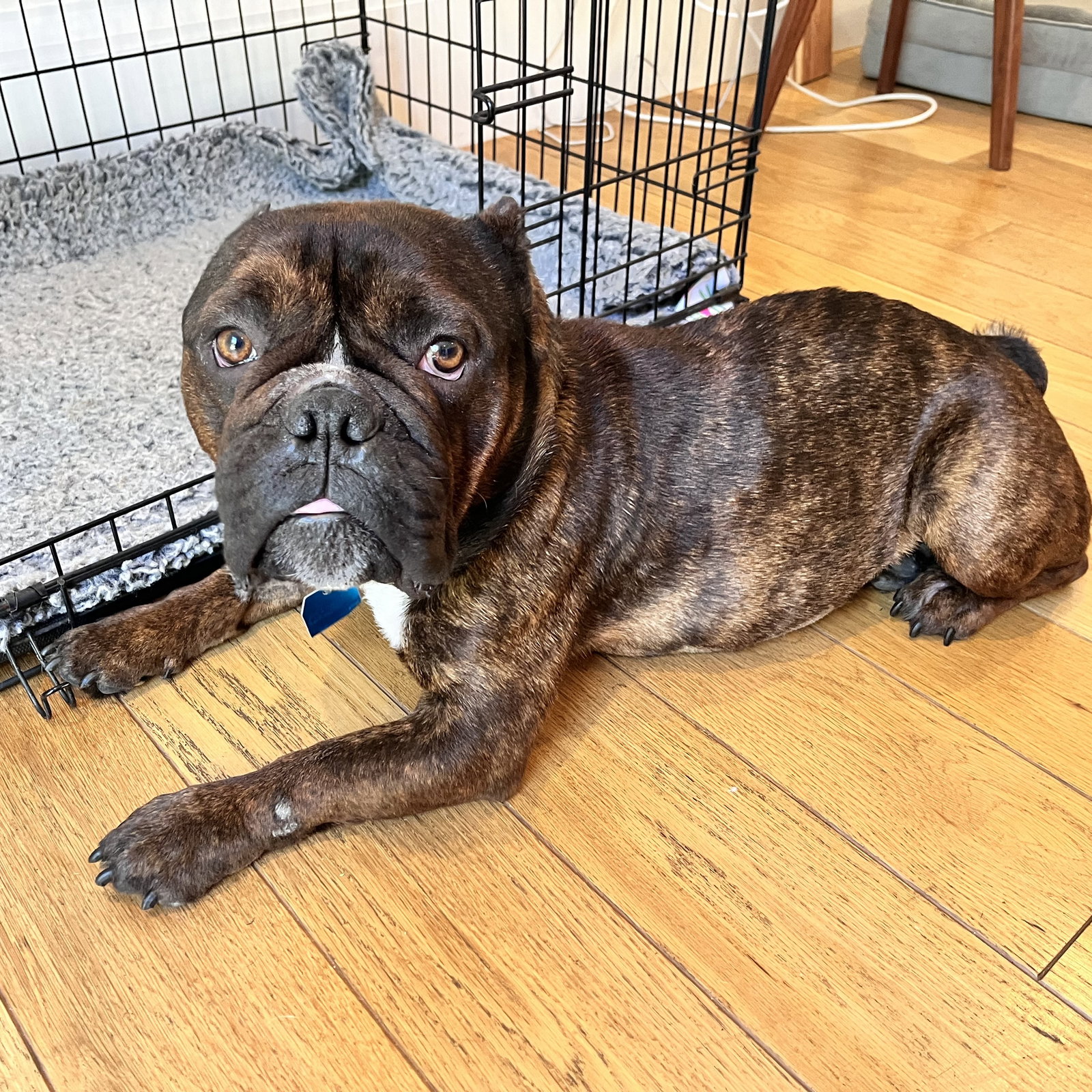 Mitzi