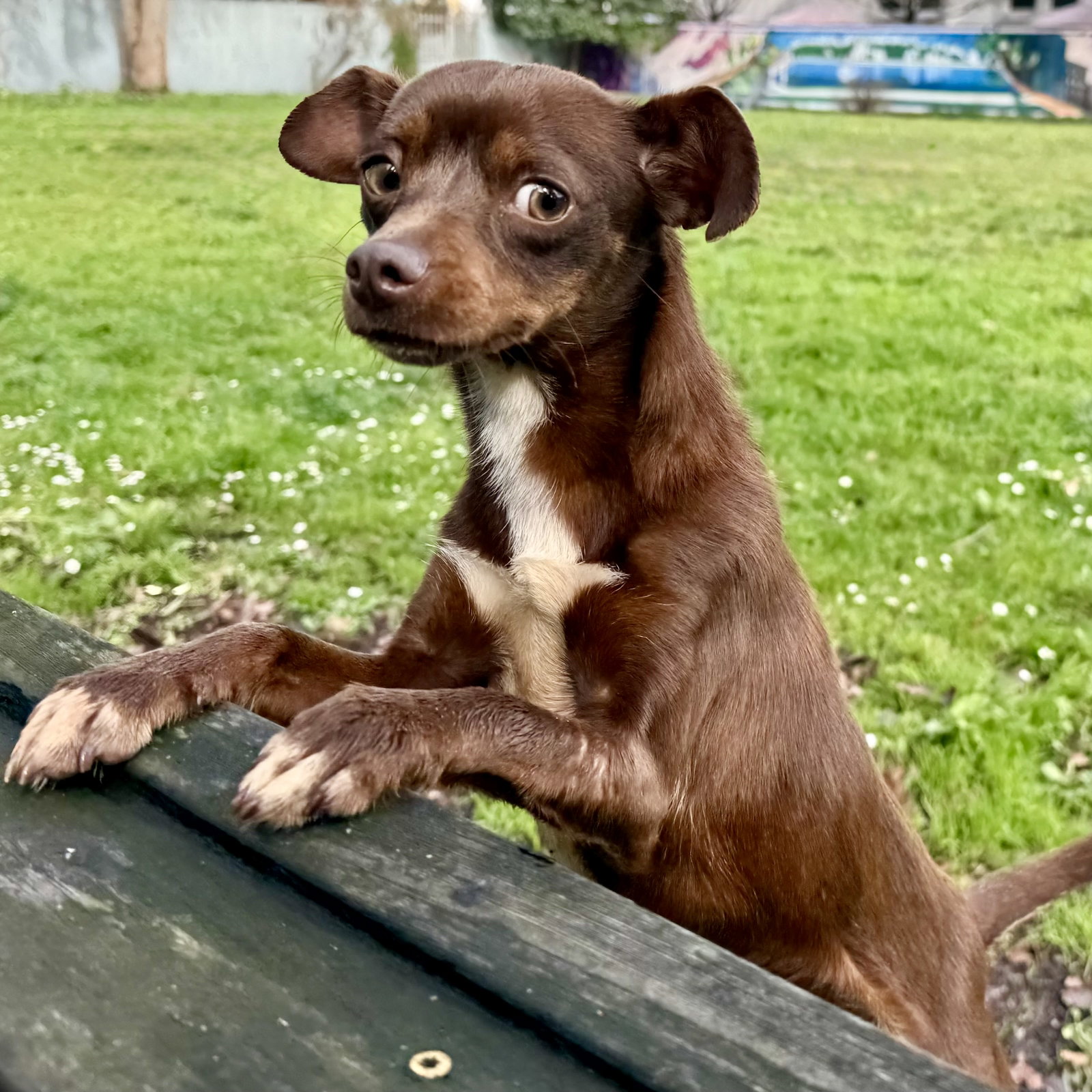 Winnie