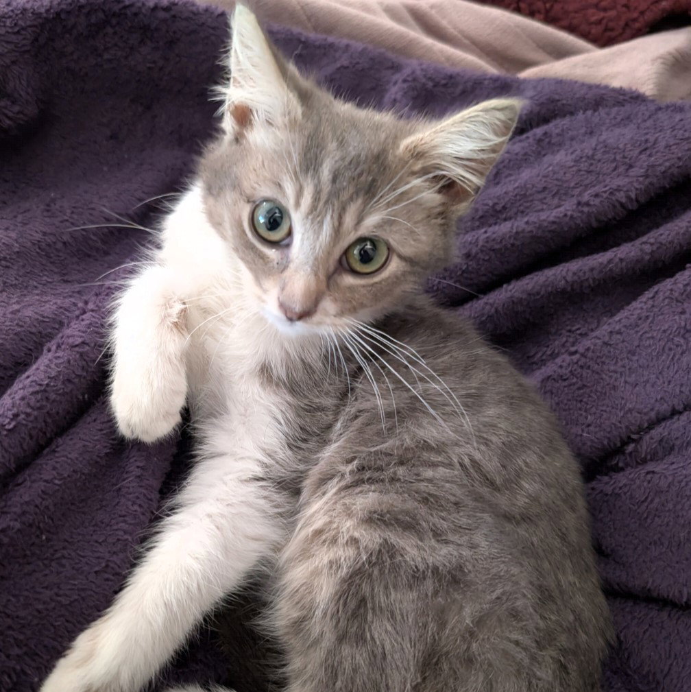 Sabrina