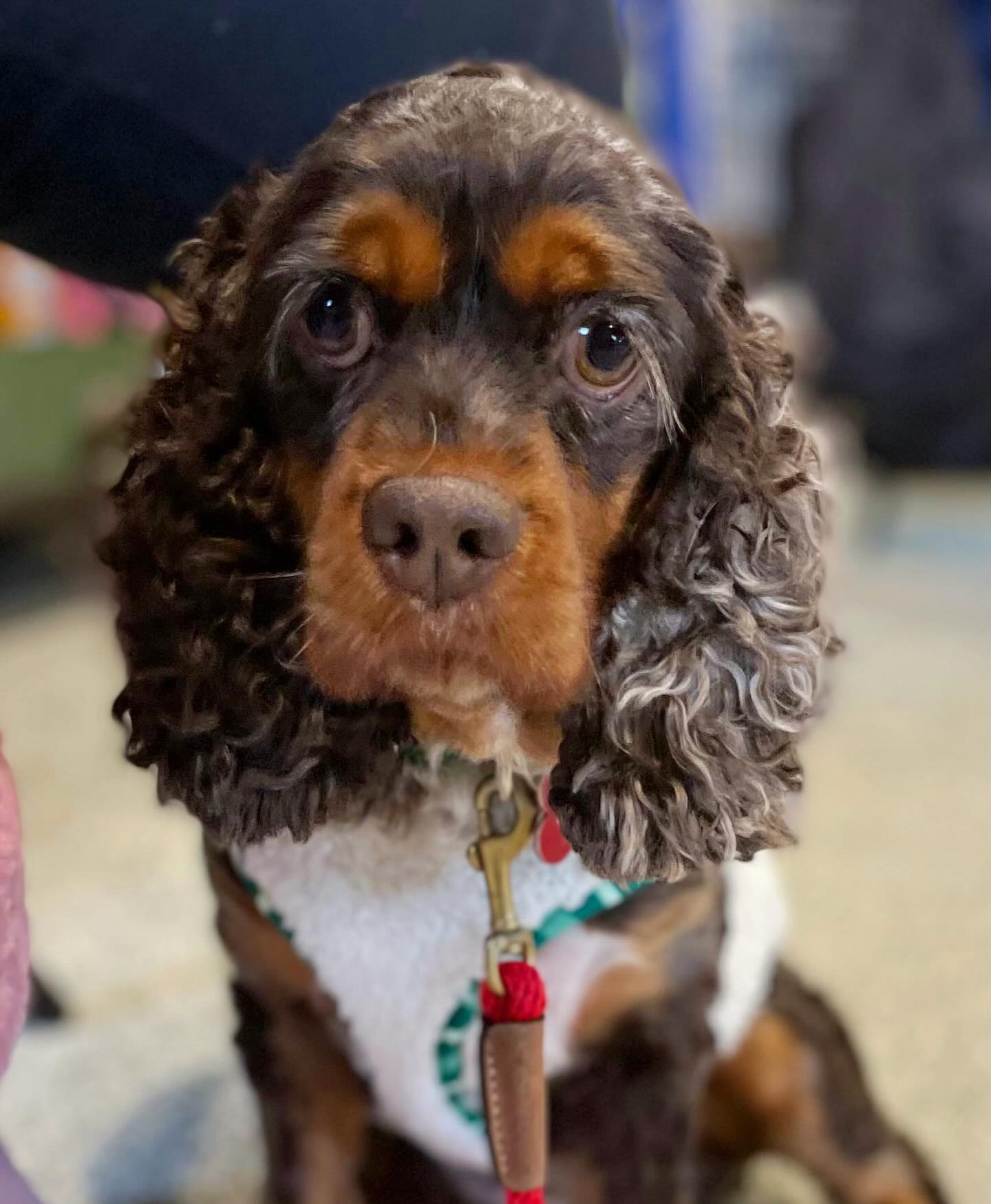 Trudy's Web Page