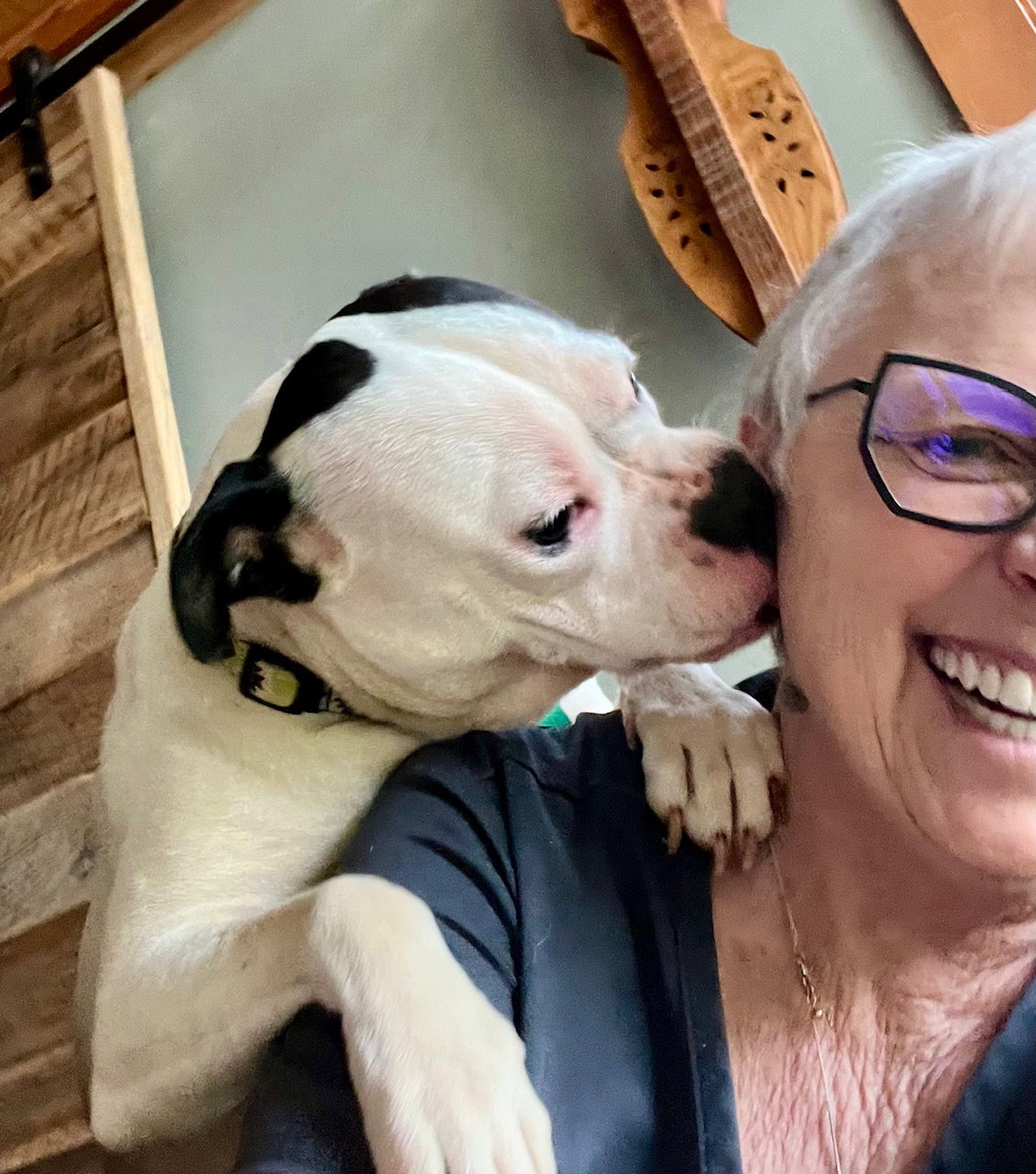 Dog for Adoption - Rosie, a Staffordshire Bull Terrier in Saint ...
