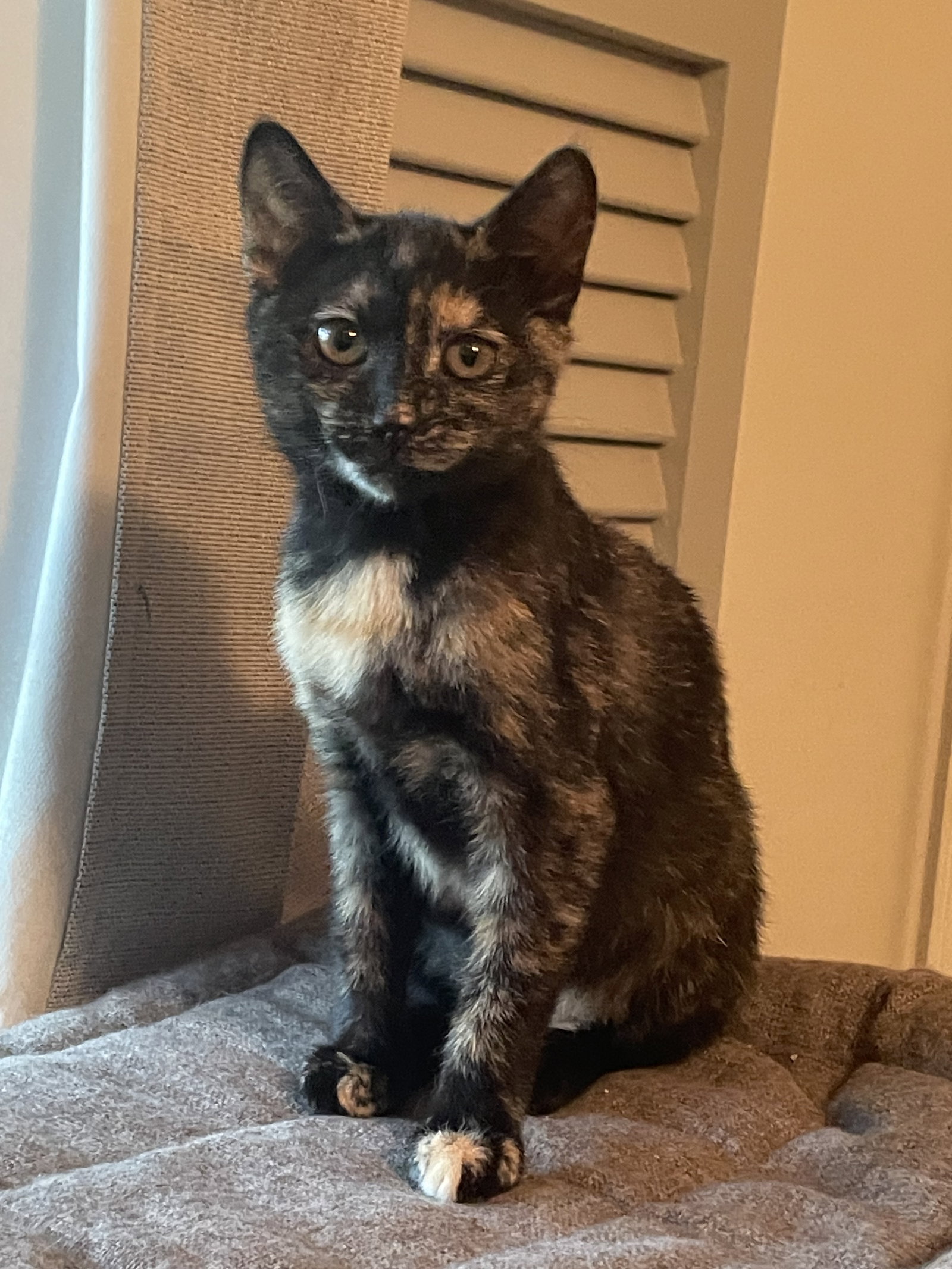 Nelly (with Rilo)'s Web Page
