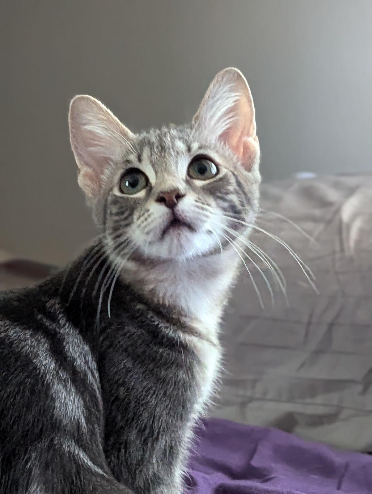 Minnie's Web Page