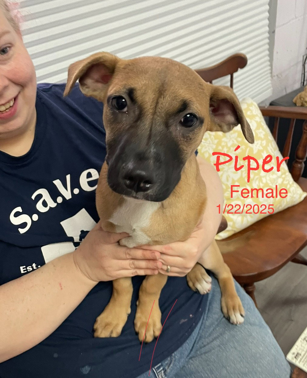 Piper's Web Page