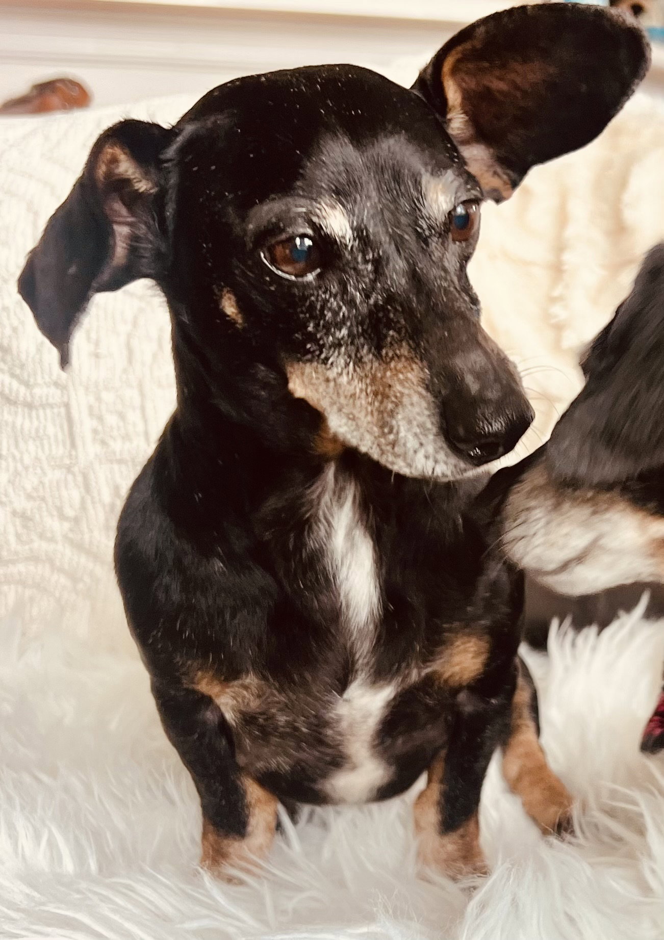 MoMo's Web Page
