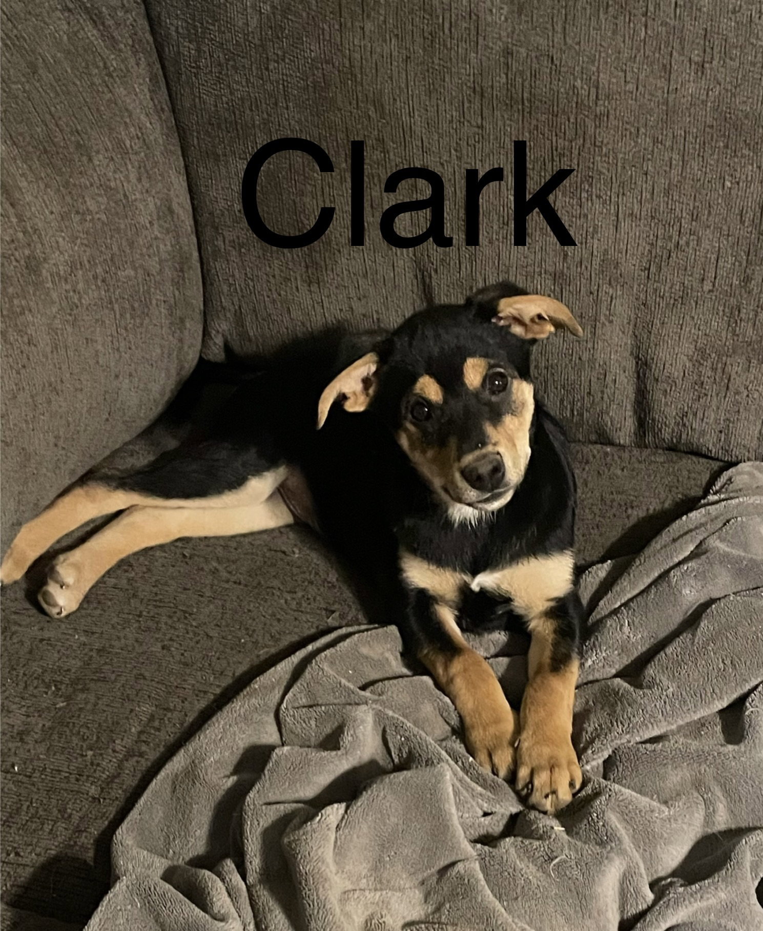 Clark's Web Page