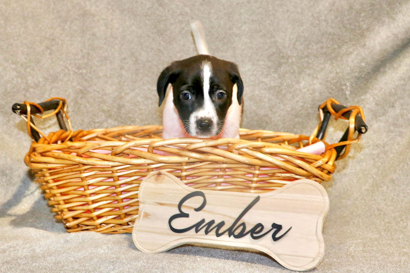 Ember's Web Page