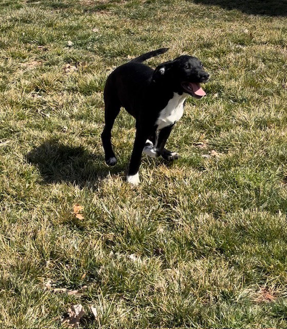 Floxi's Web Page