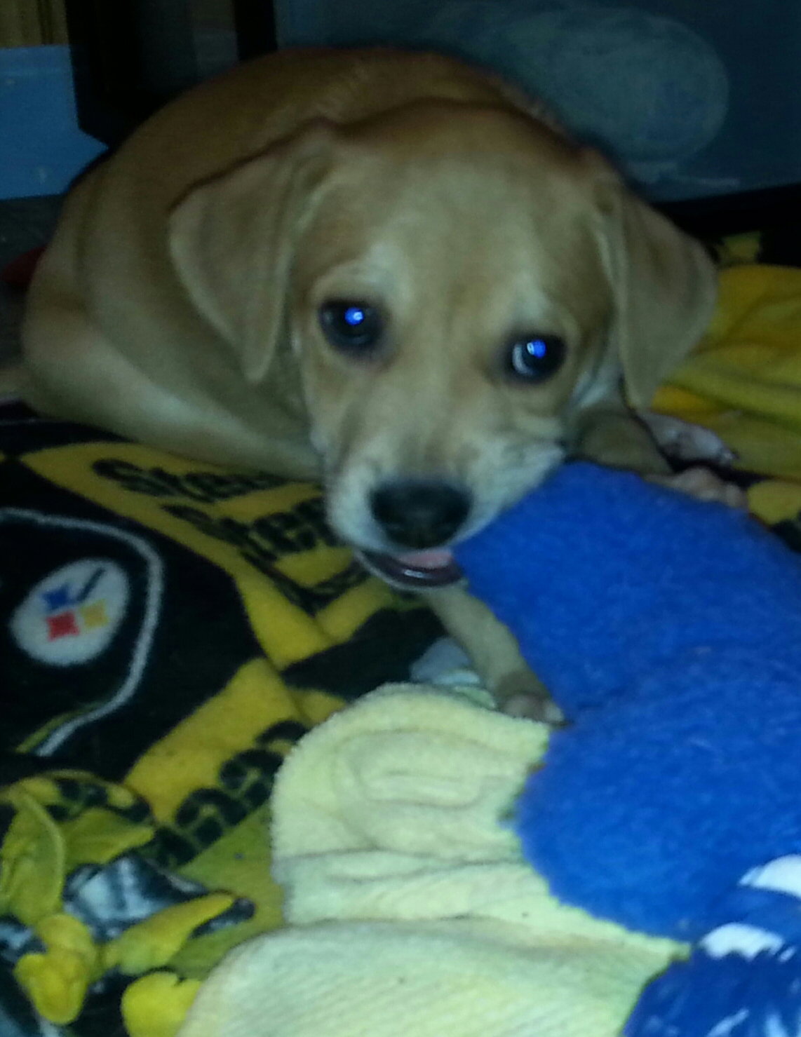 Peanut's Web Page