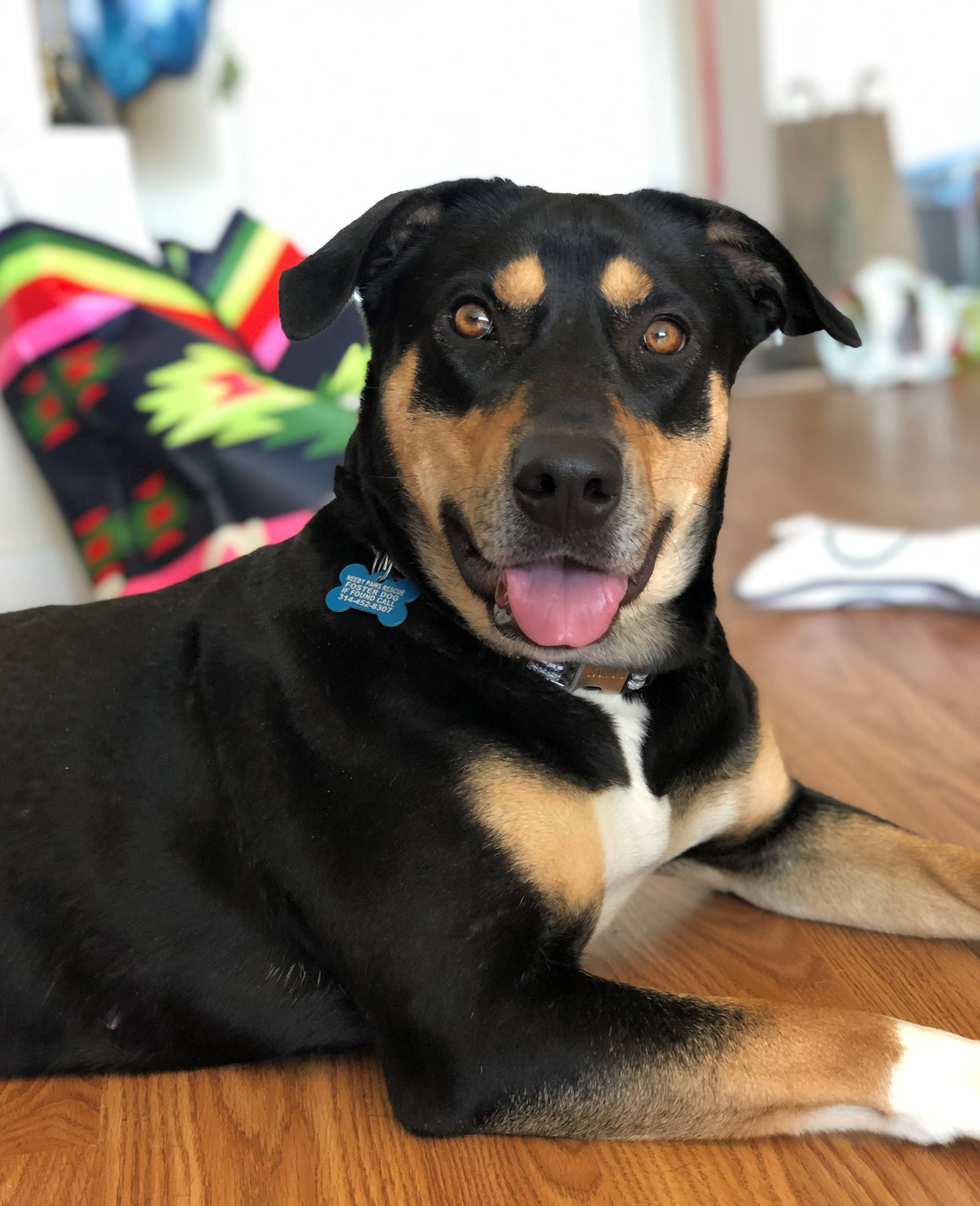 Bailey's Web Page