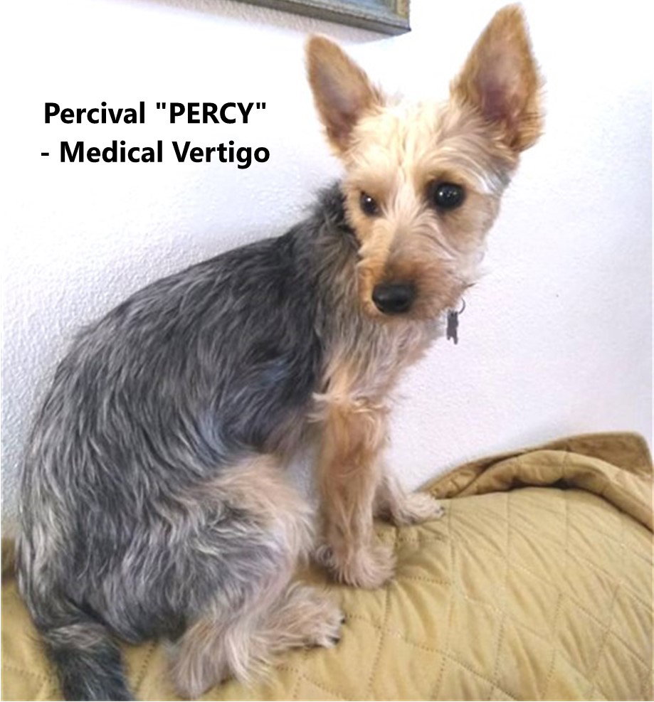 Percival's Web Page