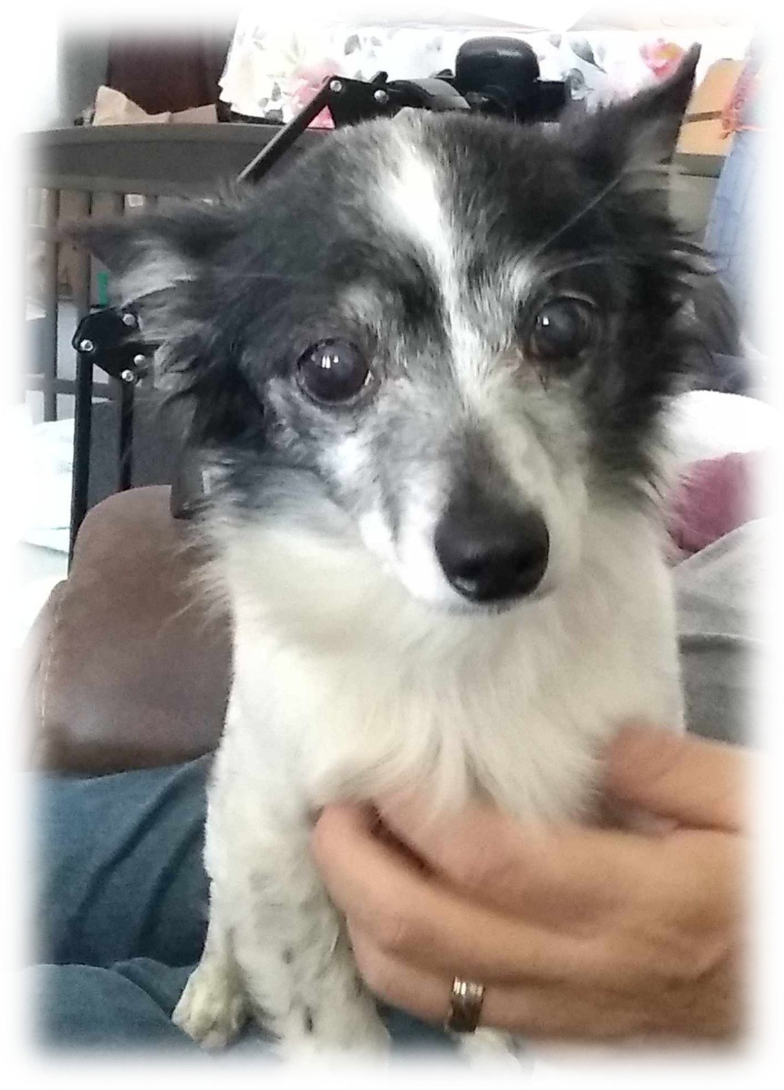 Skipper "Snuggle Boy!"'s Web Page