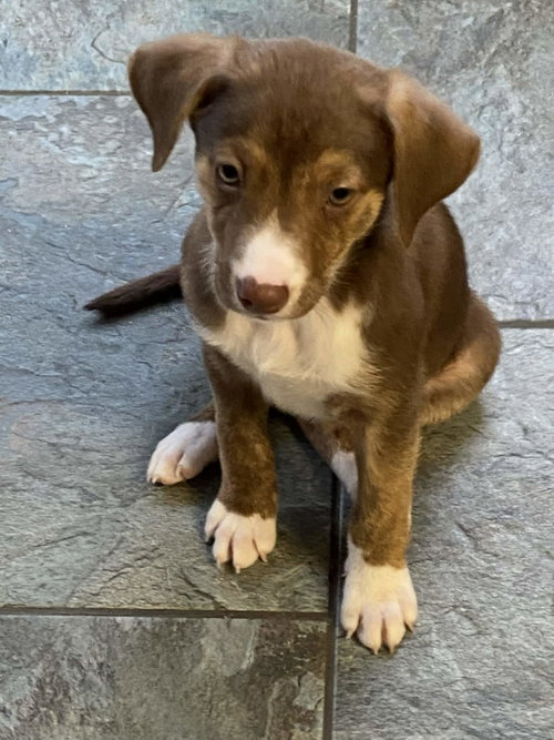 Saniya's Web Page