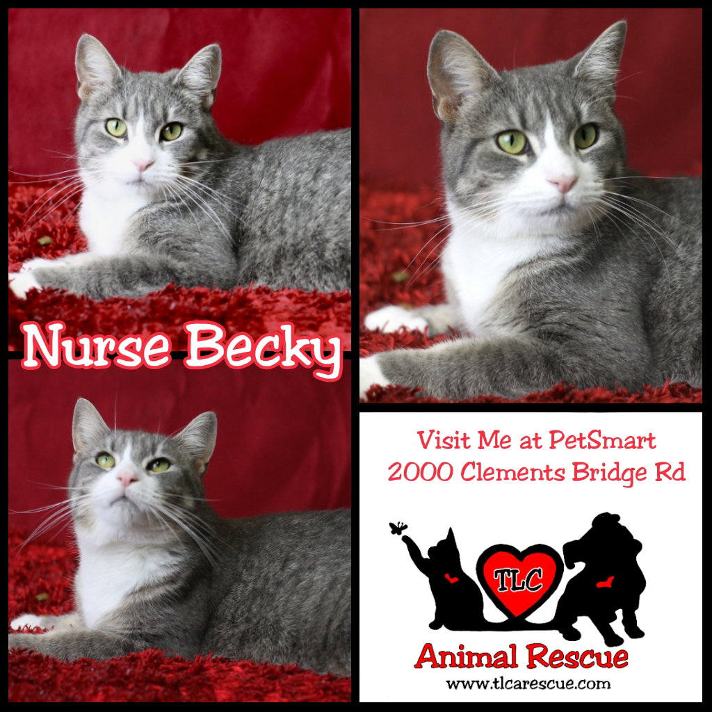 Nurse Becky's Web Page