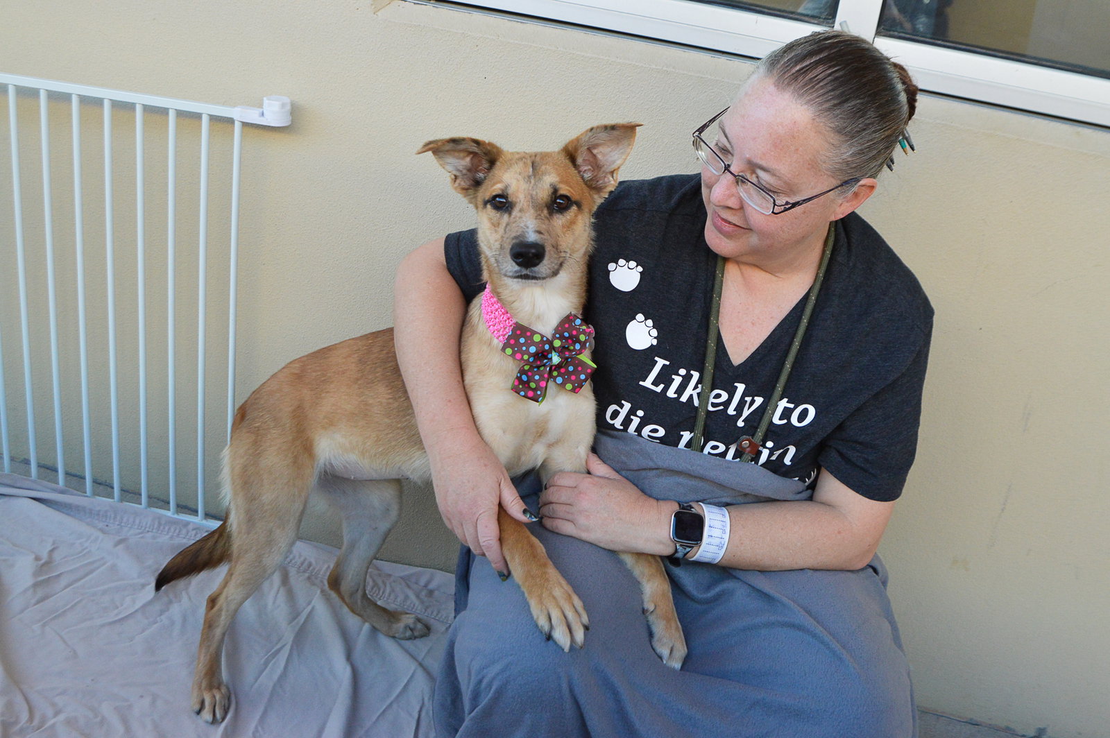 Dog for Adoption - Freckles, a Catahoula Leopard Dog in Preston, TX ...