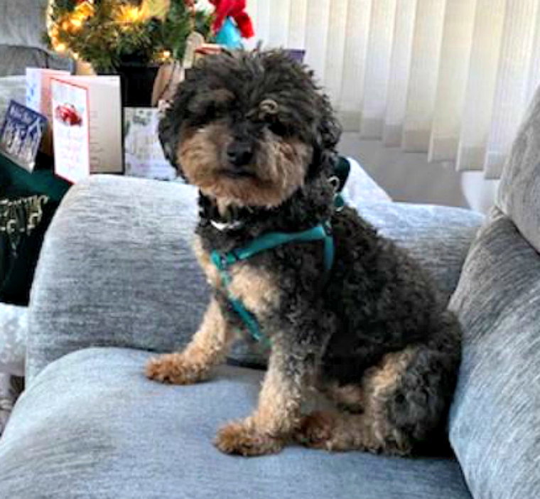 Buddy's Web Page