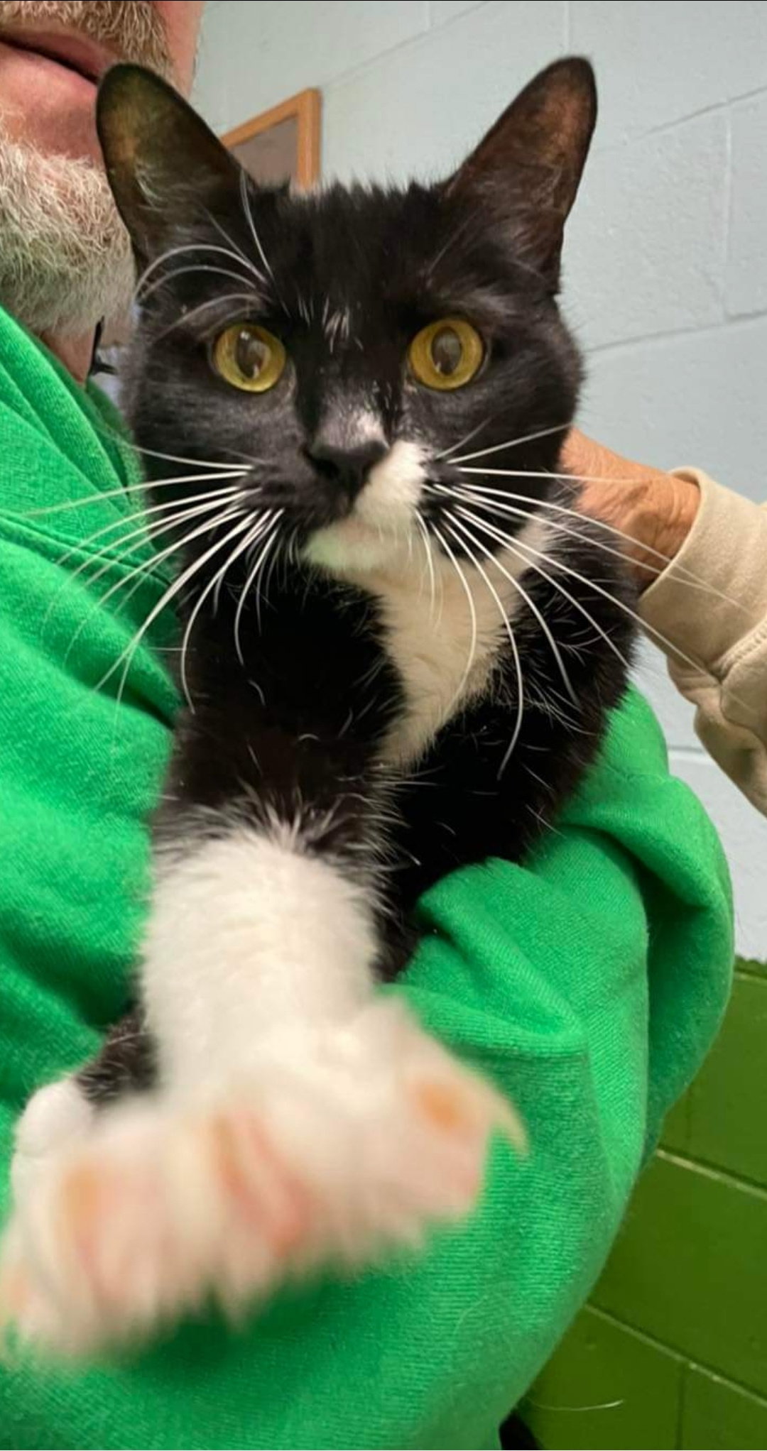 Midnight: Not At the Shelter's Web Page