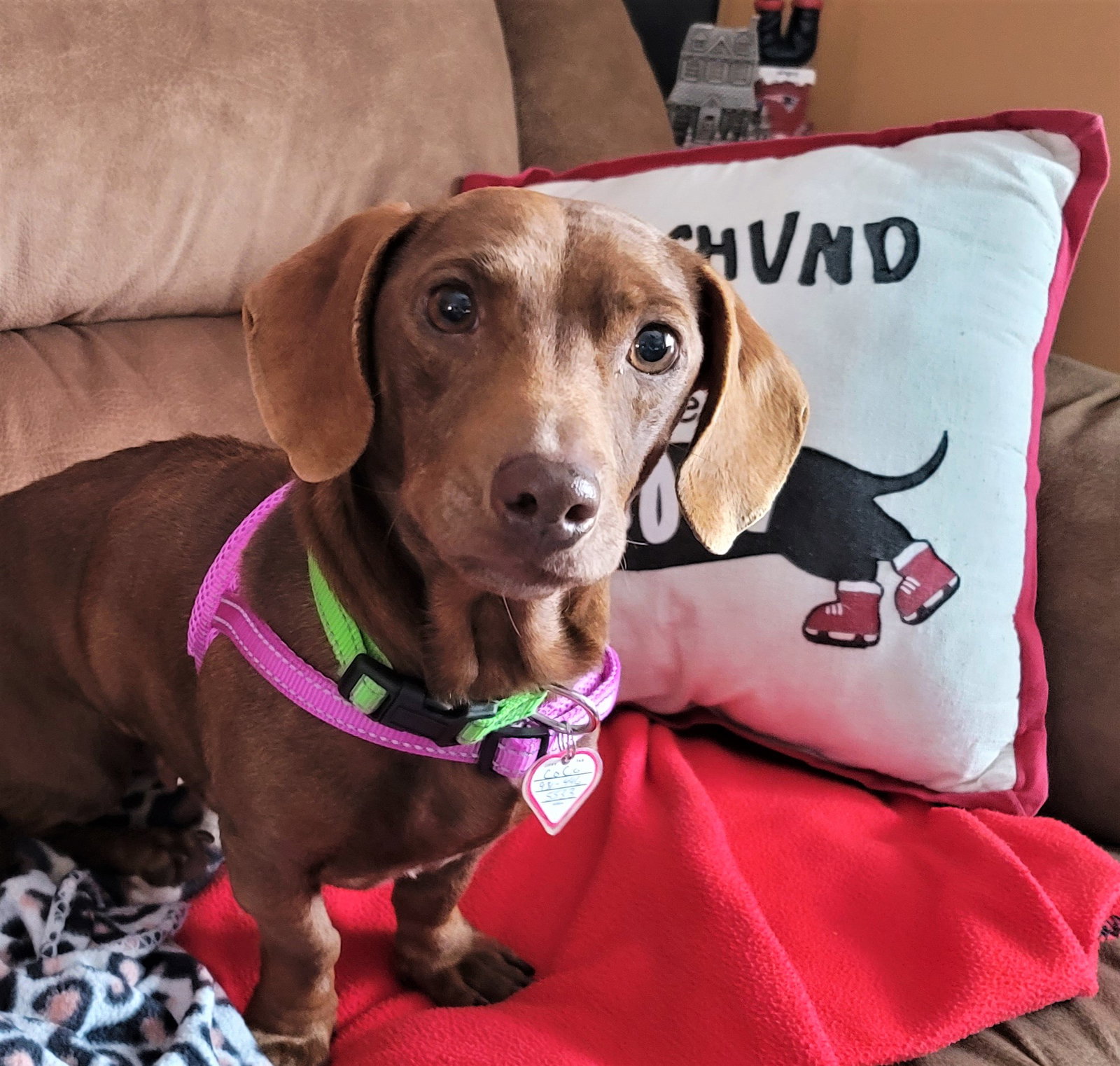 Coco in NJ's Web Page