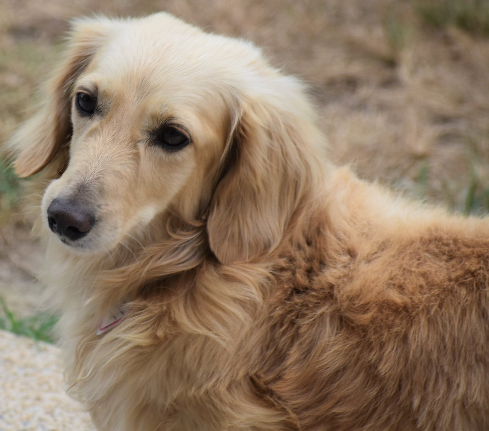 Eddie aka Teddy in FL's Web Page