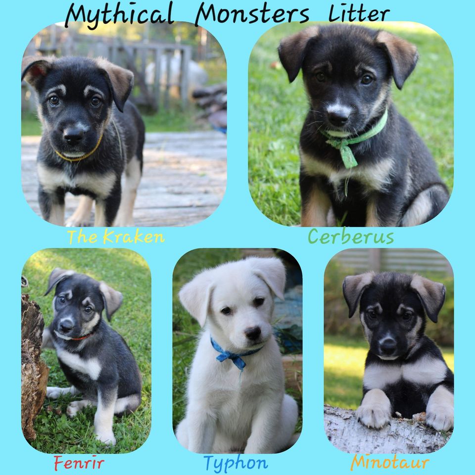 Mythical Monsters Litter's Web Page