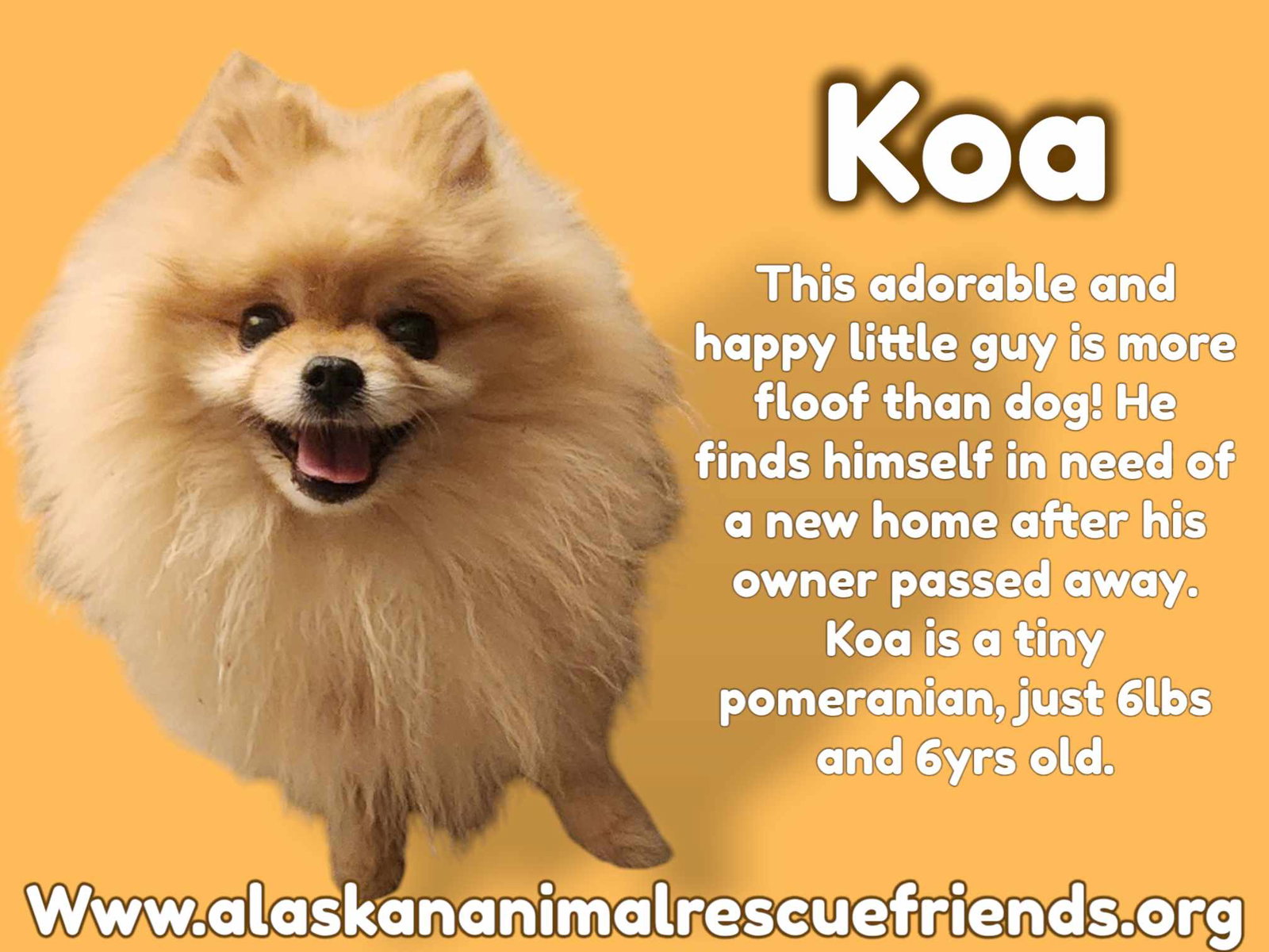 Koa's Web Page