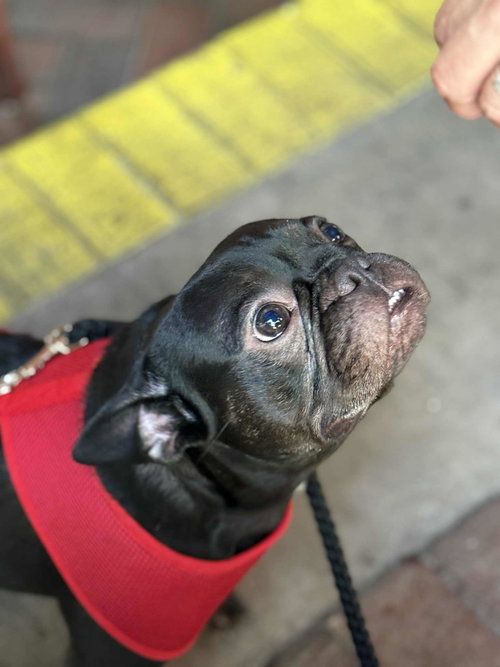 Mugsy's Web Page