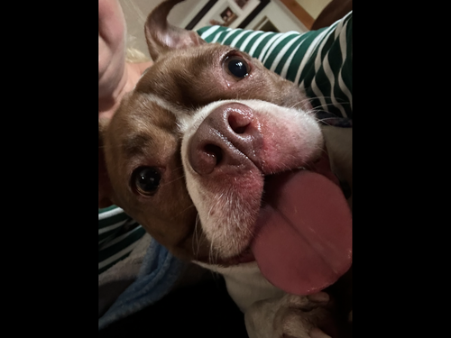 Milo's Web Page