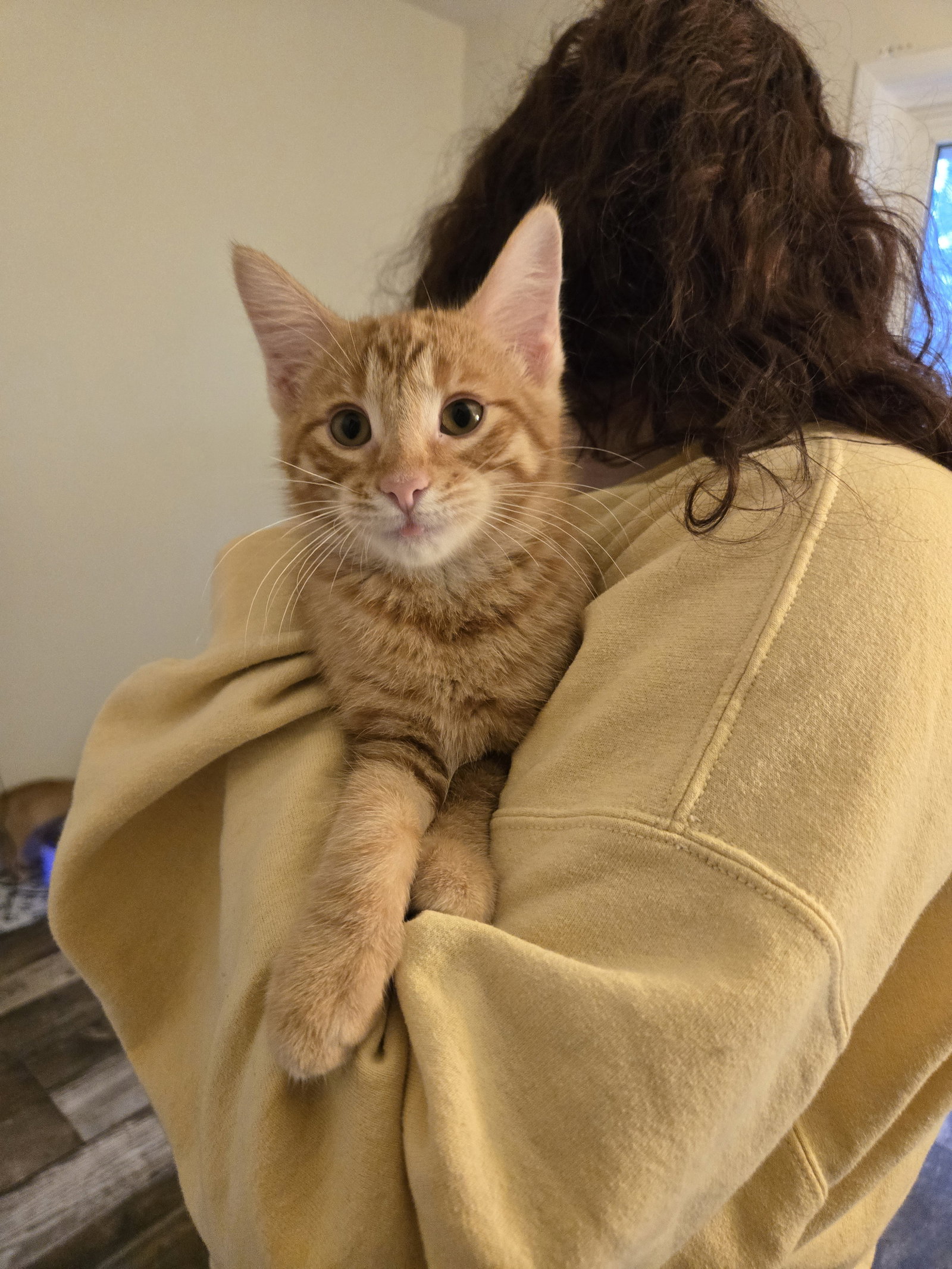 Peter(MUST BE ADOPTED WITH PASHA)'s Web Page