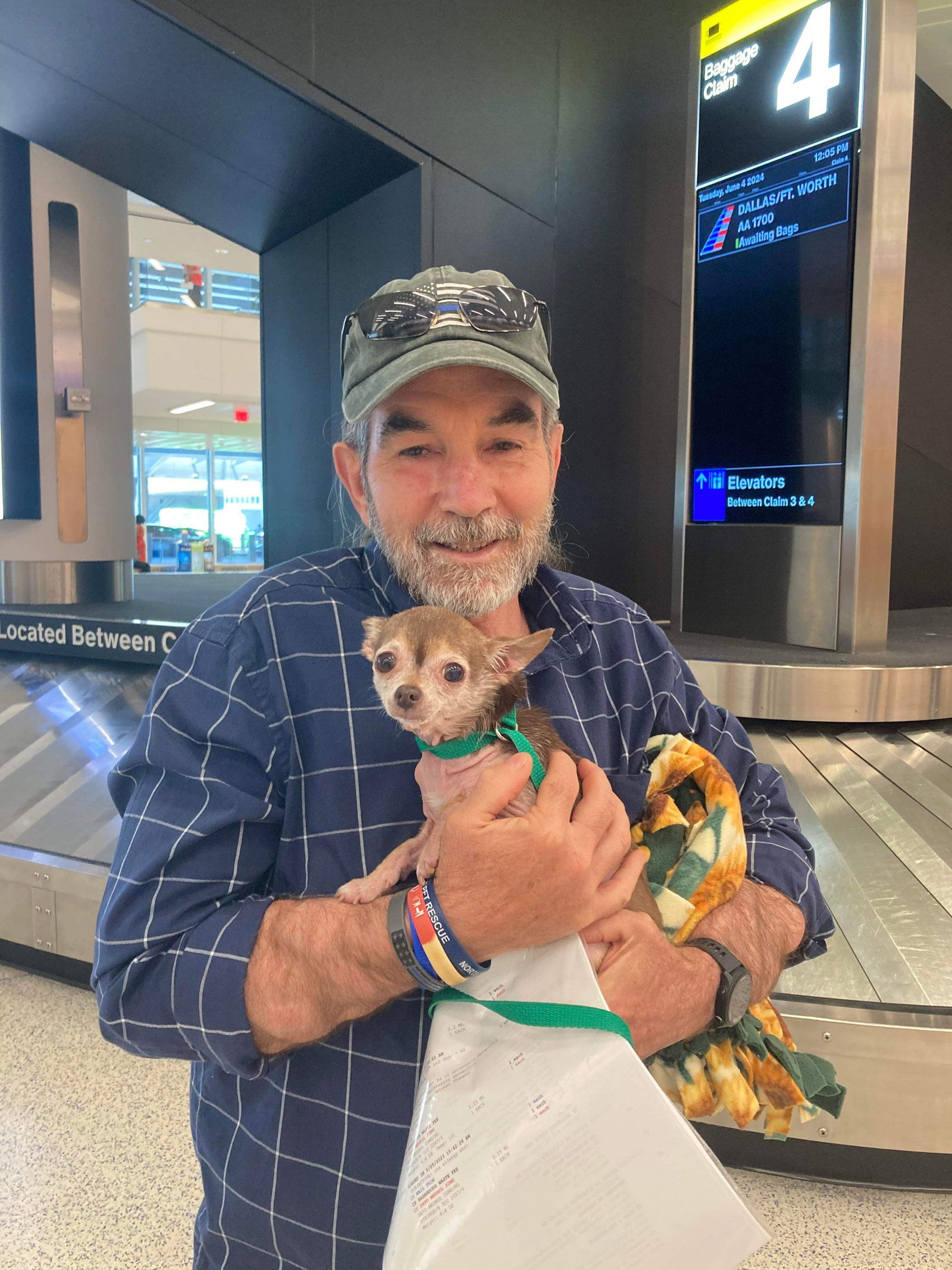 Dog for Adoption - Tahini TX, a Chihuahua in Maspeth, NY | Alpha Paw