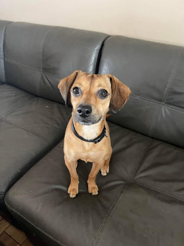 Daisy Bailey's Web Page