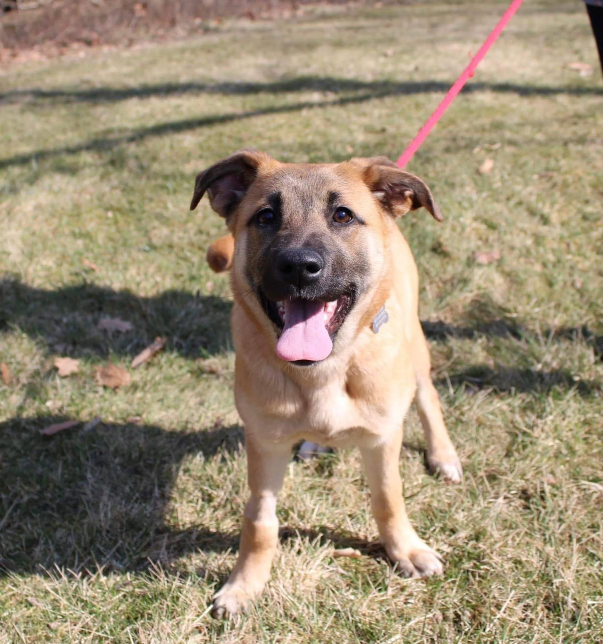 Preble County Animal Shelter