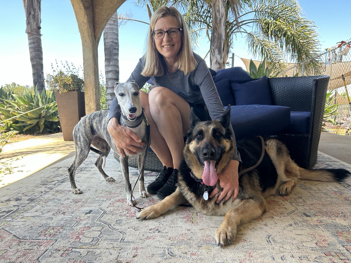 Dog for Adoption - Lucy, a German Shepherd Dog in Bostonia, CA | Alpha Paw