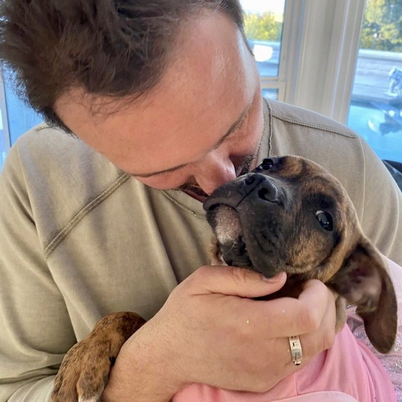 Dog for Adoption - Maïden, a Cane Corso Mastiff in Cudahy, CA | Alpha Paw