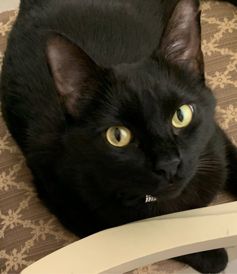 Gus (ABD)'s Web Page