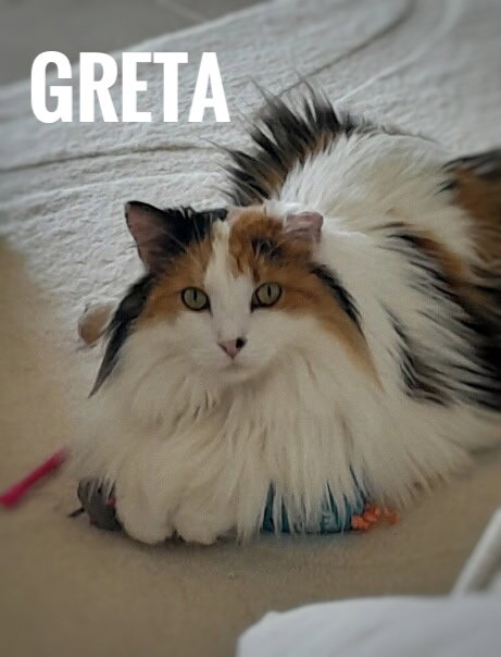 Greta's Web Page
