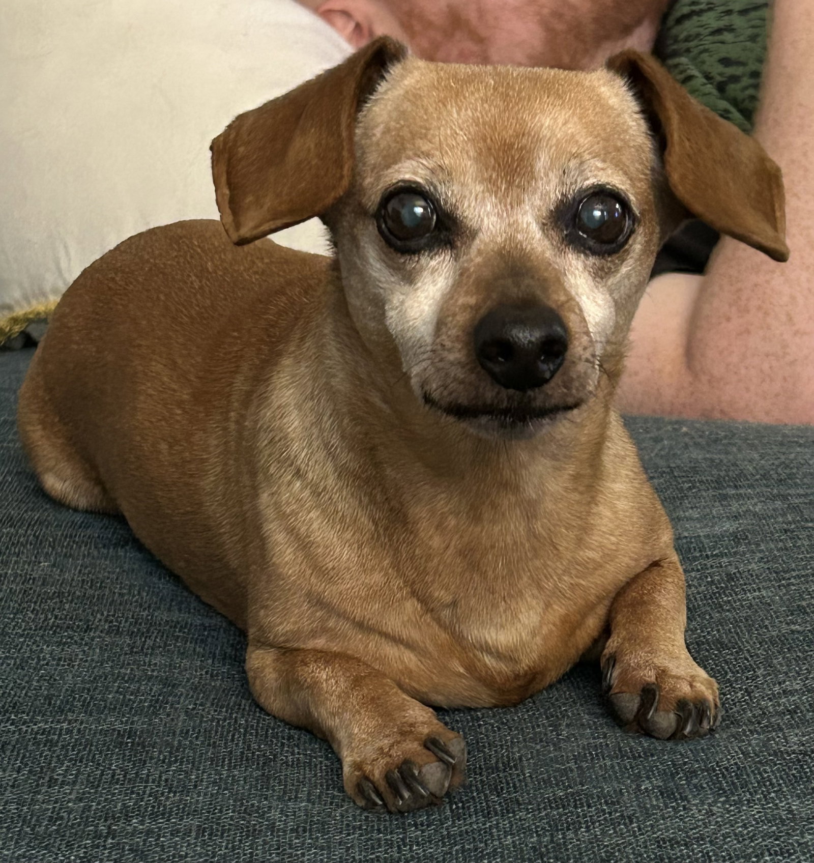 Peanut's Web Page