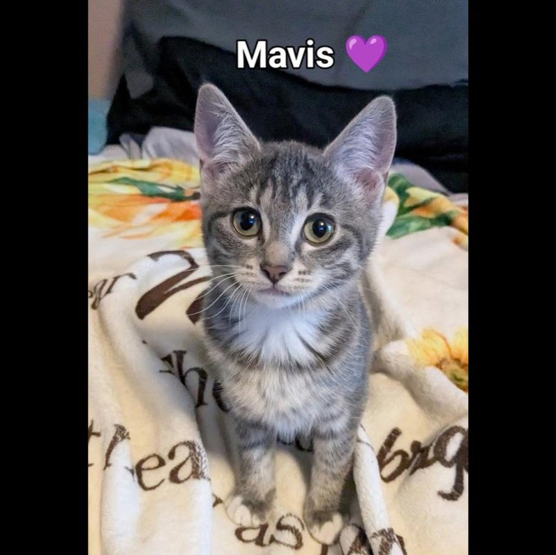 Sophie fka Mavis Theriot Jan 2025's Web Page