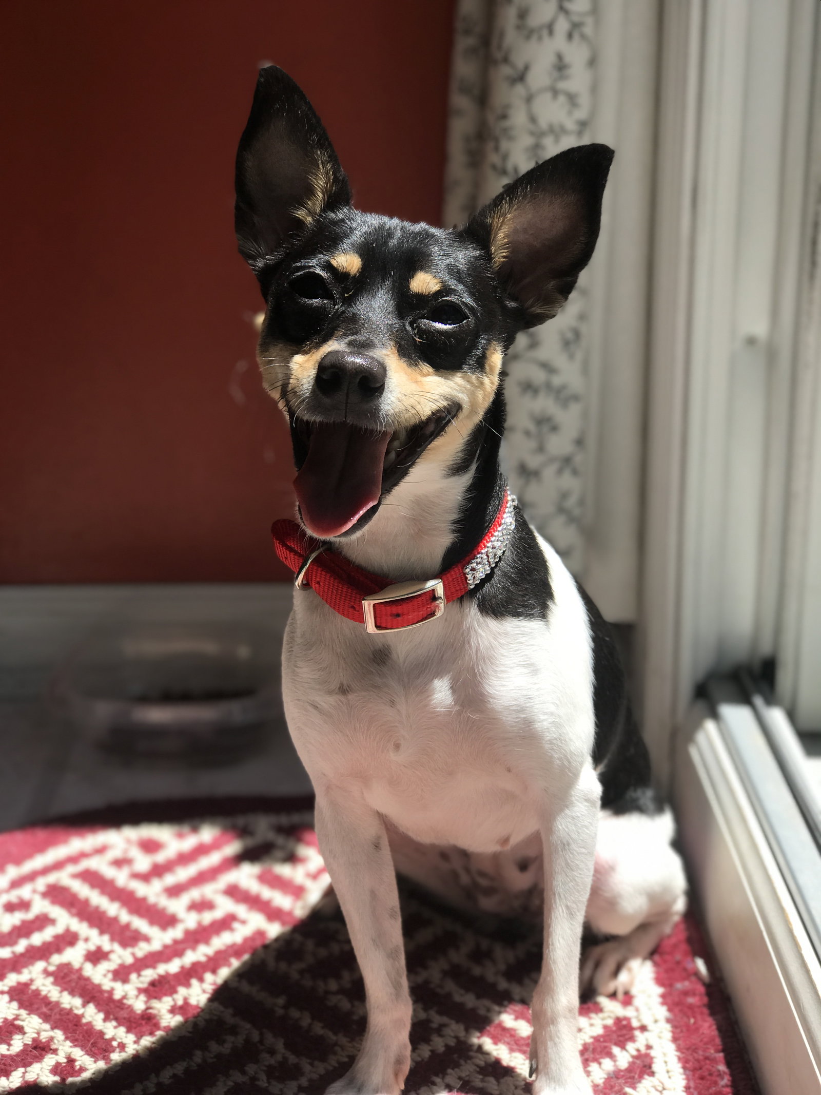 Sprout's Web Page