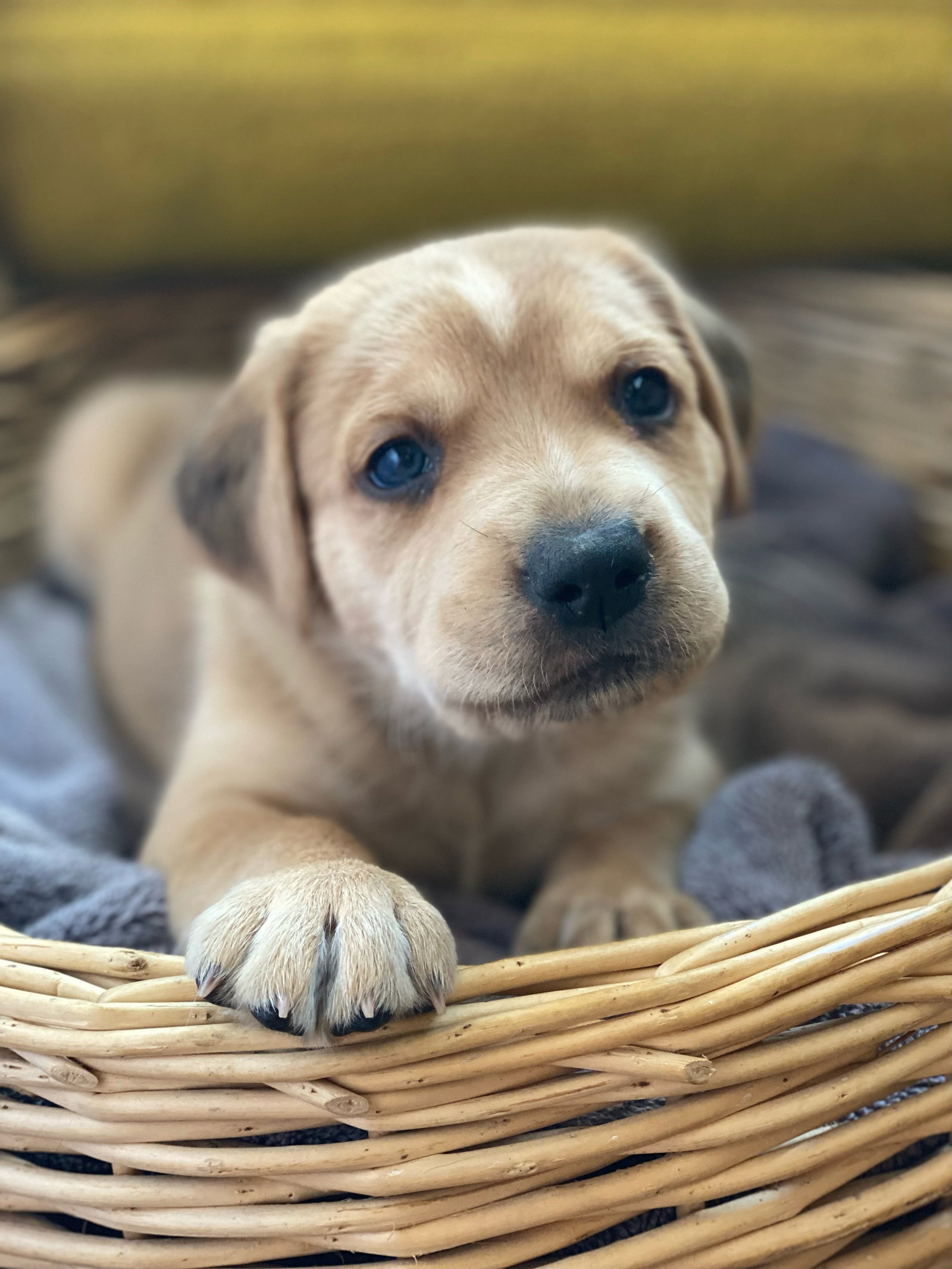 Ernie's Web Page