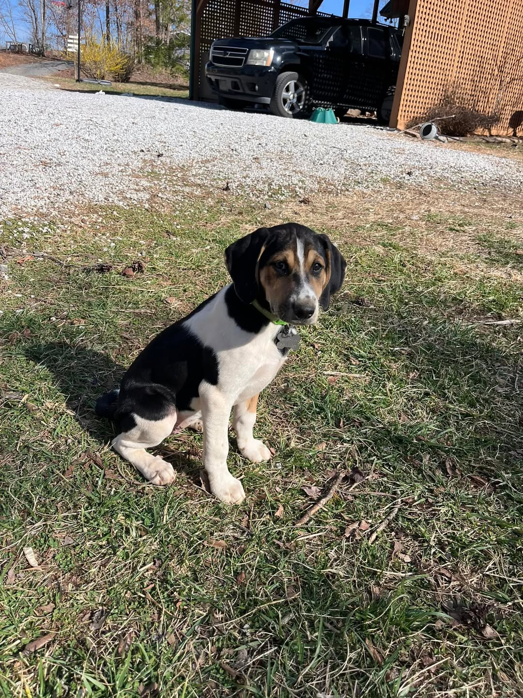 Ethel (New Mexico Litter)'s Web Page