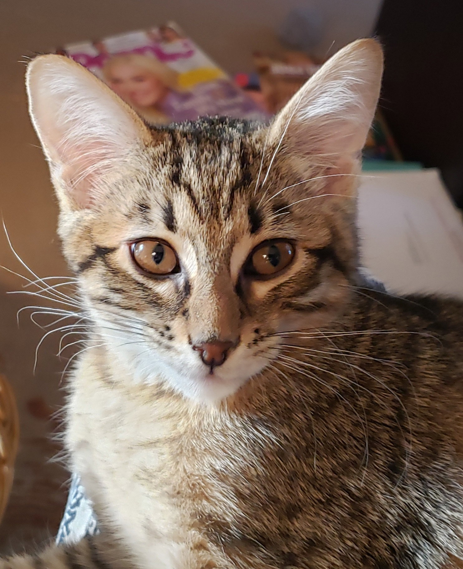 Peanut's Web Page