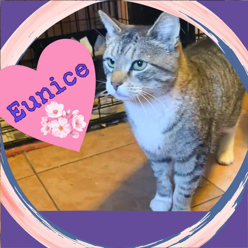 Eunice's Web Page